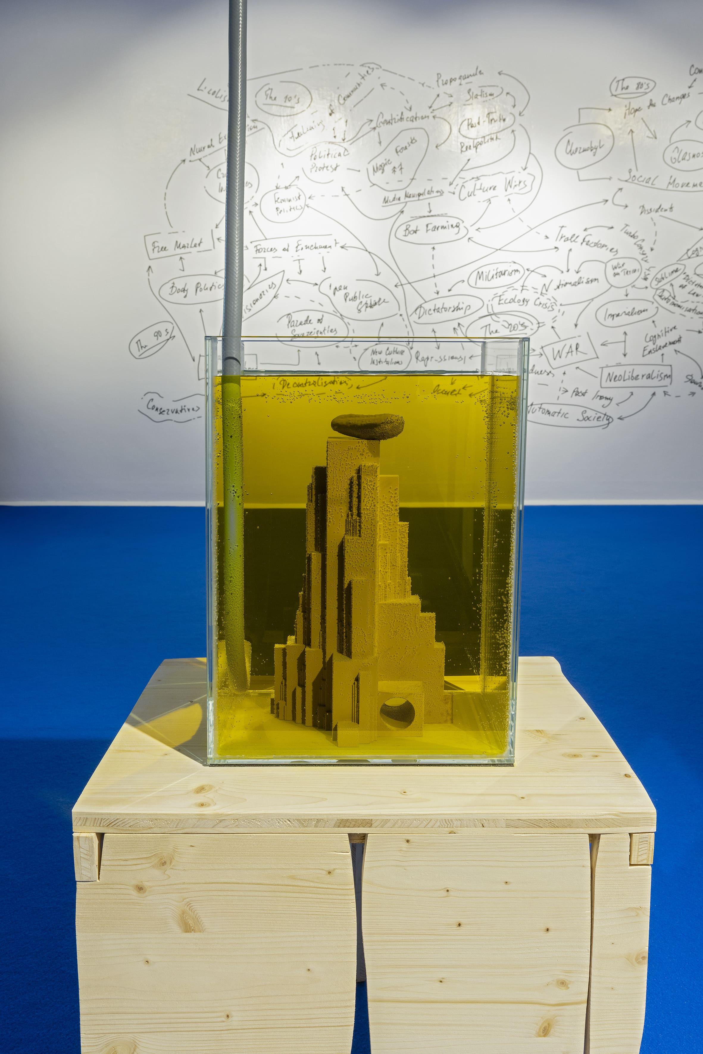 On the Flattening of the Earth and Other Realised Dreams