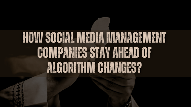 How Social Media Management Companies Stay Ahead of Algorithm Changes?