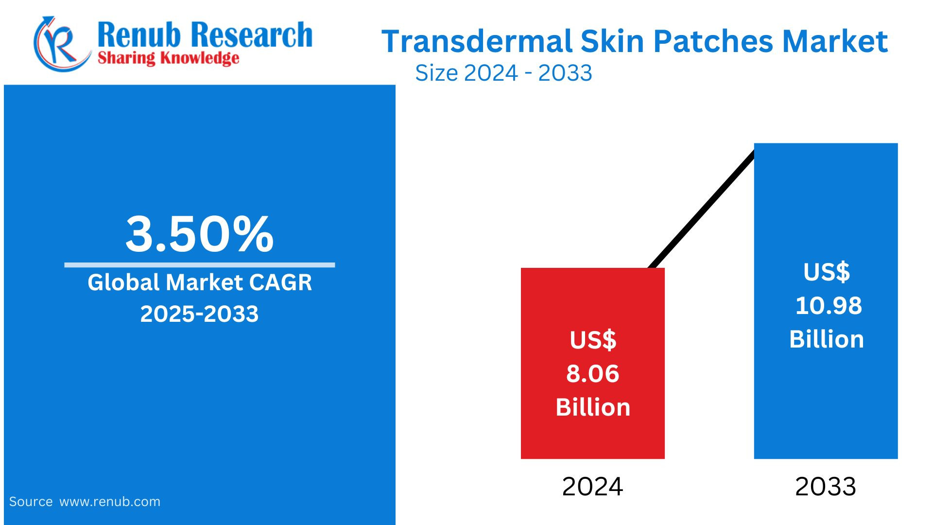 Transdermal Skin Patches Market: Strategy & Revenue Outlook 2025–2033